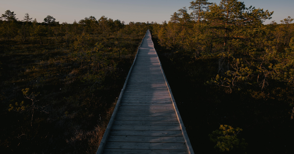 Uus maksuvõit pensioniks kogumisel. Mis on 2-4-6 reform? – Tuleva