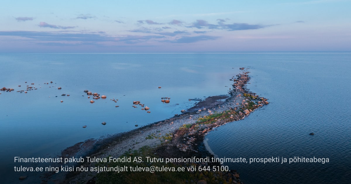 Kas kasulikum on I või II sammas? – Tuleva