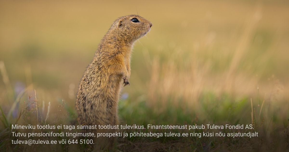 Tasu turule allajäämise eest – Tuleva