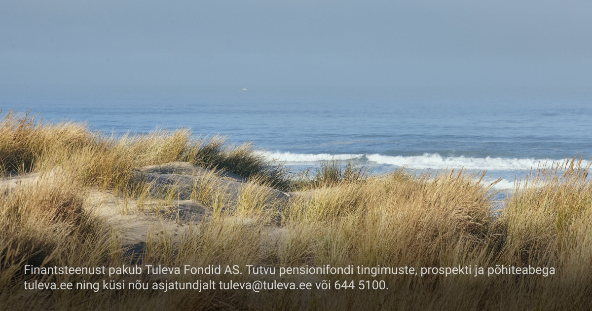 Tuleva poolaasta ülevaade 2025 – Tuleva